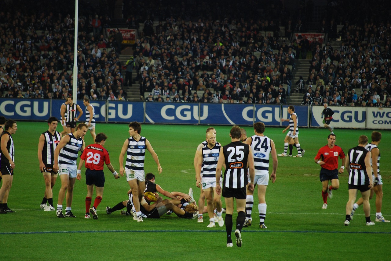 A Look Ahead at the AFL Grand Final 2024